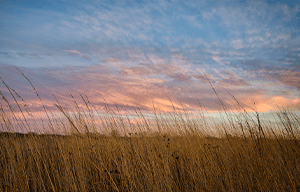 Vertical Multistage Pumps Near Oklahoma - Iconic Pump