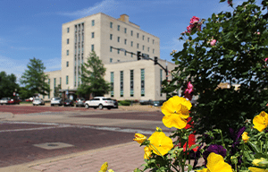 Vertical Multistage Pumps Near Texas - Iconic Pump